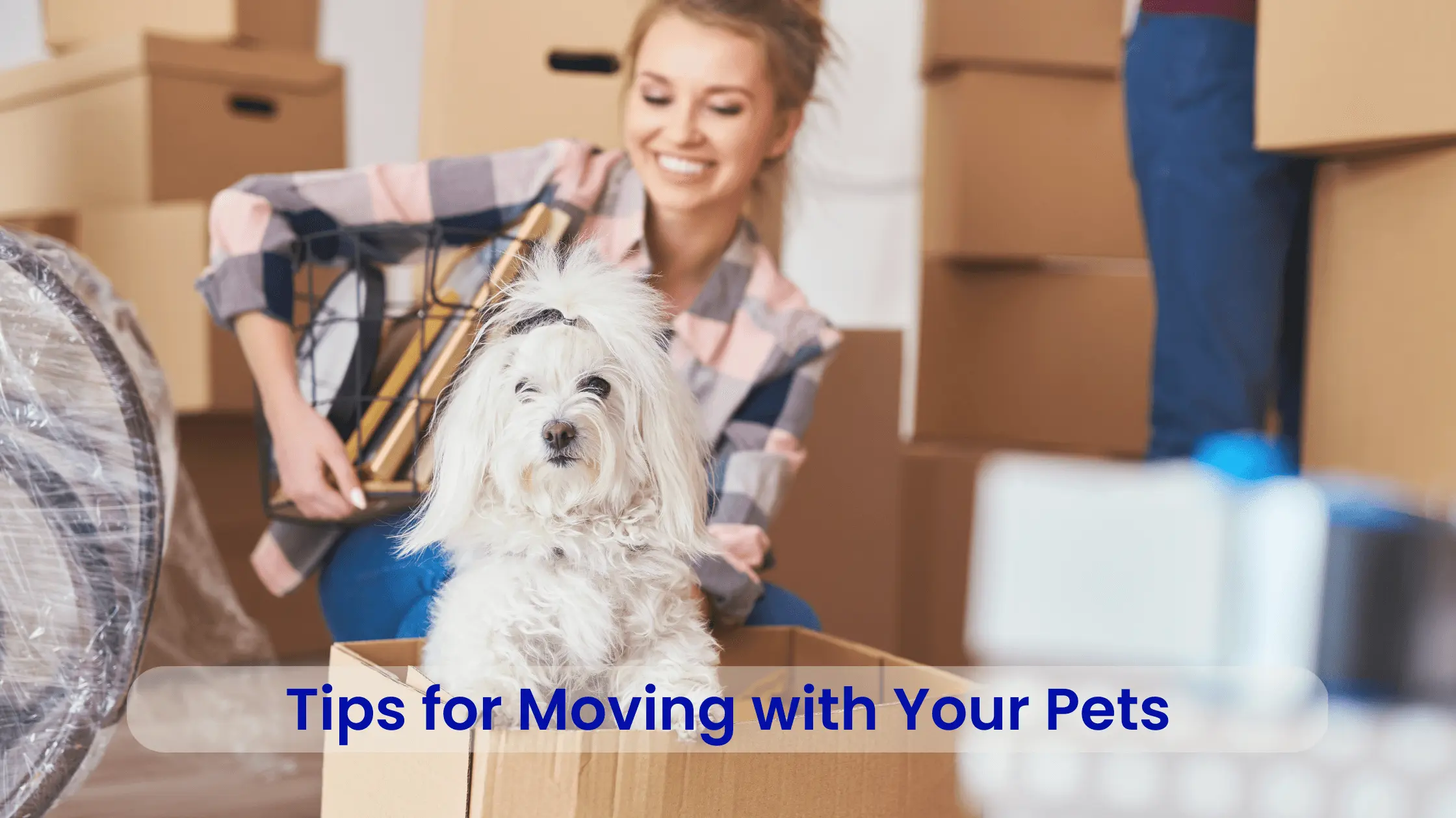 Moving Homes with Pets: The Complete Guide | Eurmove